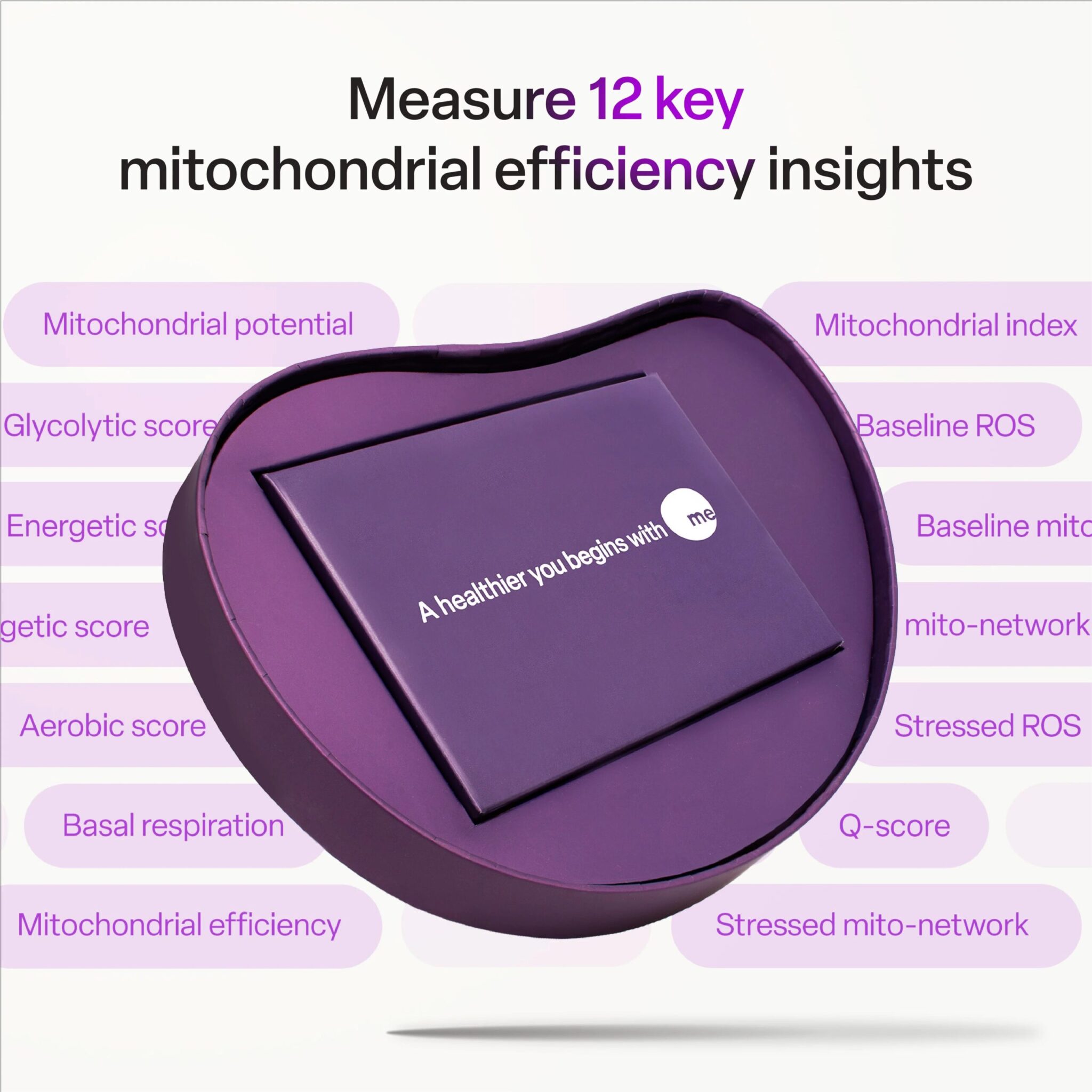 Mescreen Mitochondrial Function Assessment - MeScreen